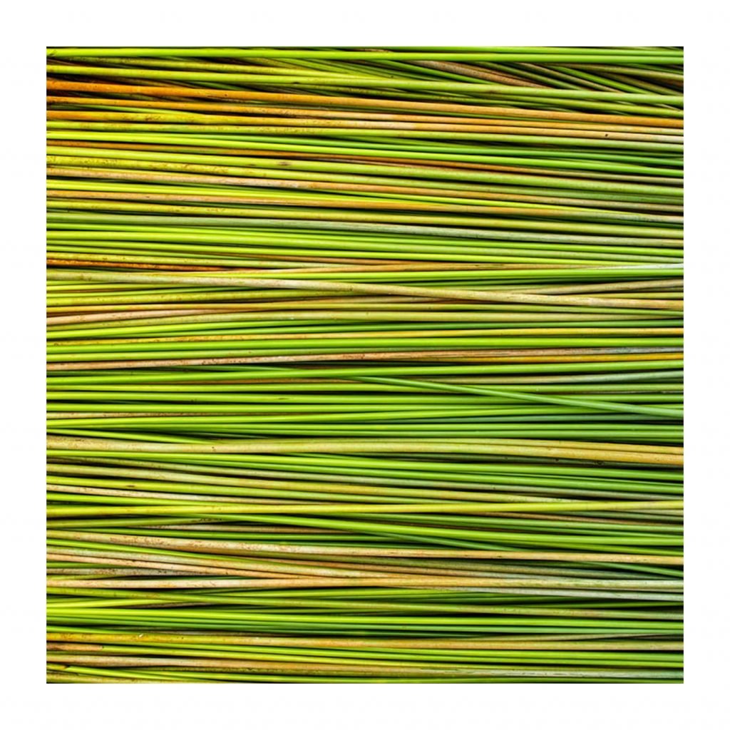 Grass Straws - Organic Straw